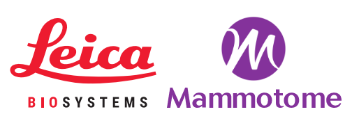 Due Diligence Questionnaire