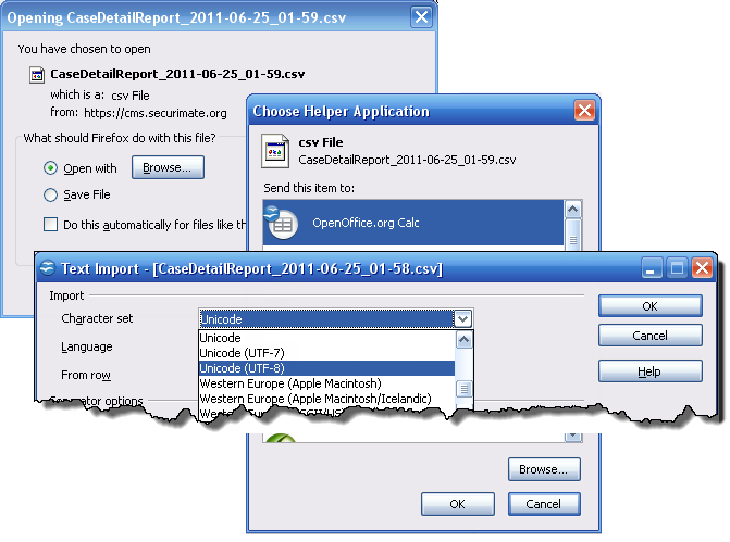 About Case Detail Report
